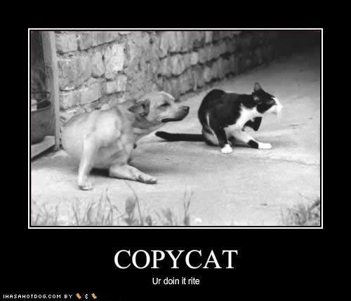 Are You a Copycat? | Targetprocess - Enterprise Agility Solution