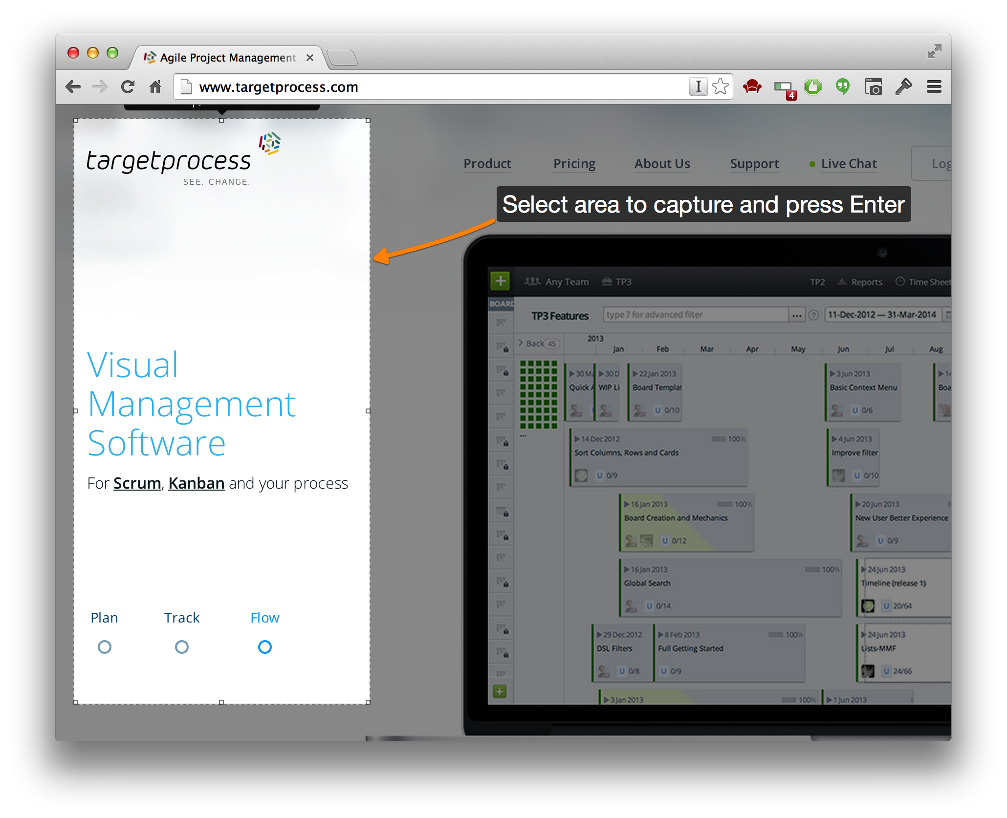 Targetprocess Screen Capture: Chrome Extension | Targetprocess - Visual management software
